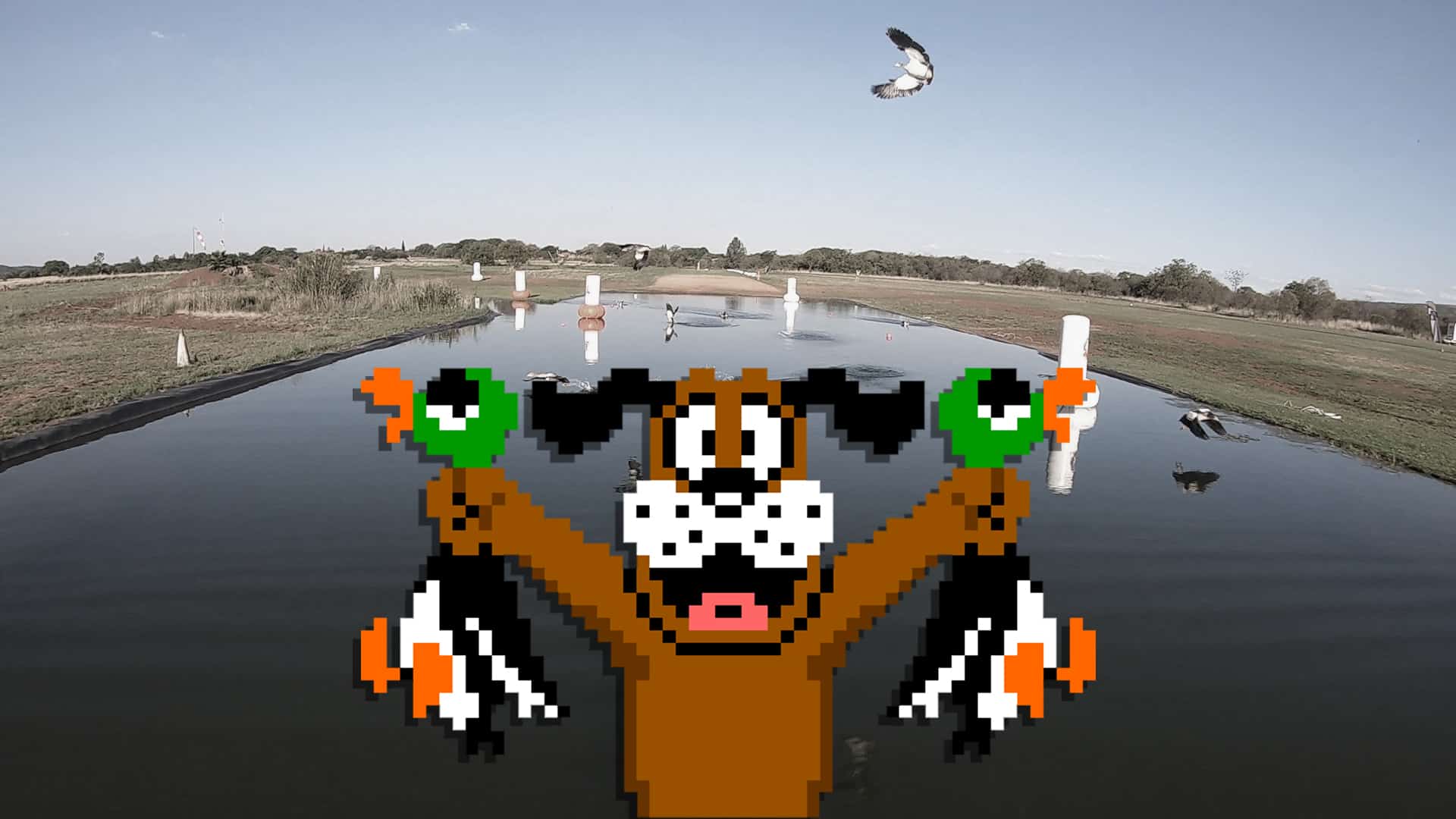 Friday Freakout: Bird Strikes Skydiver Mid-Swoop, Crashes Into Pond | TEEM